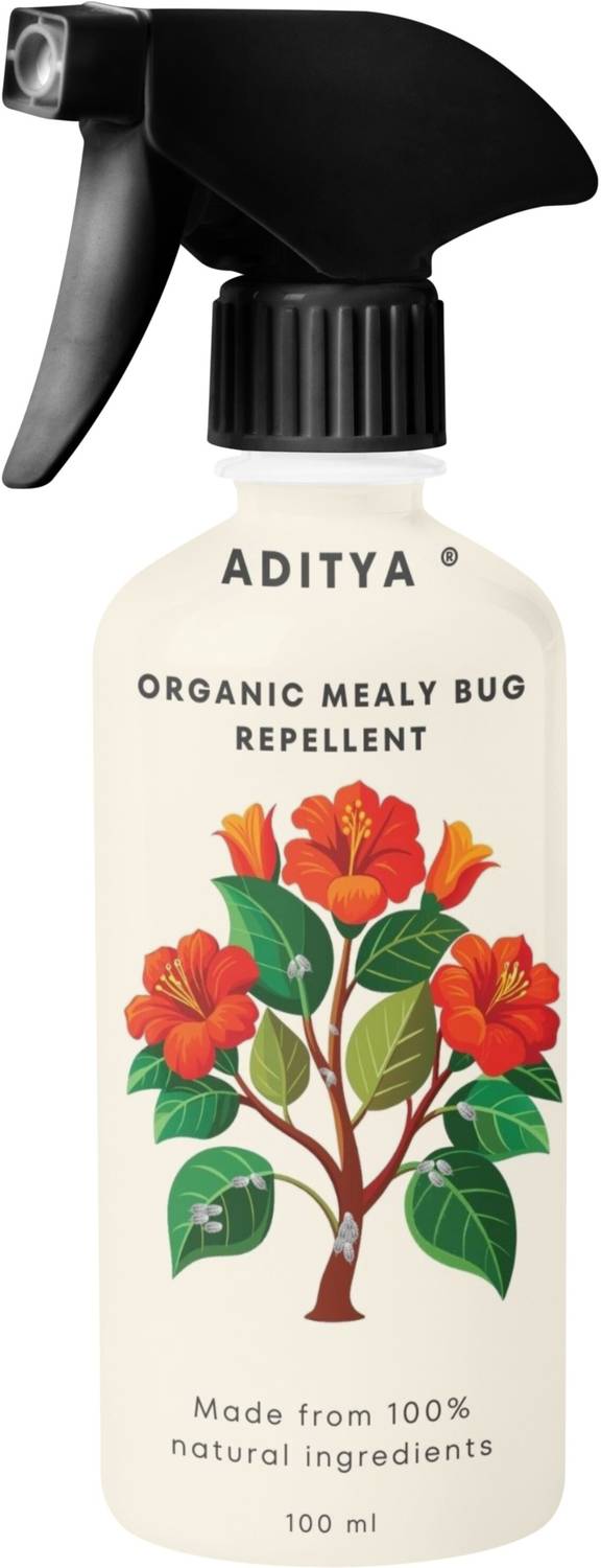 mealybug killer spray