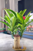 THE DEAL APP | Get Best Deals, Discounts, Offers, Coupons for Shopping ...