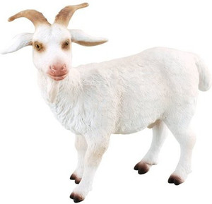 COLLECTA Billy Goat Figure - Billy Goat Figure . Buy Animal toys in ...