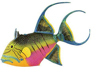 Safari Ltd Incredible Creatures Queen Triggerfish - Incredible ...