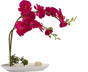 fennel Plate Design Ceramic Flower Pot Pink Assorted Artificial Flower ...