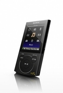 SONY Walkman MP4 Player - SONY : Flipkart.com