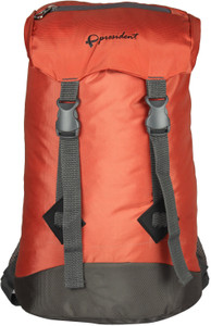 President Air 17 L Backpack Multicolor - Price in India | Flipkart.com