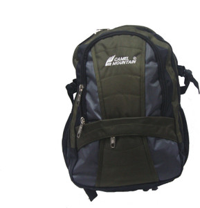 Flipkart.com | Camel Mountain Camel Mountain 305 Dark Green Backpack ...