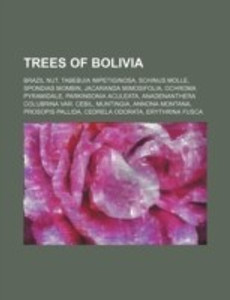 Trees of Bolivia: Brazil Nut, Schinus Molle, Tabebuia Impetiginosa ...