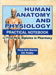 Human Anatomy and Physiology Practical Notebook: Buy Human Anatomy and ...