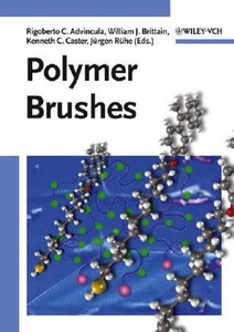 Polymer Brushes: Buy Polymer Brushes by unknown at Low Price in India ...