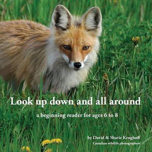Look Up Down and All Around (a Beginning Reader for Ages 6 to 8): Buy ...