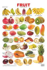 Fruit Chart - 5: Buy Fruit Chart - 5 by unknown at Low Price in India ...