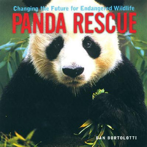 Panda Rescue: Buy Panda Rescue by Bortolotti Dan at Low Price in India ...