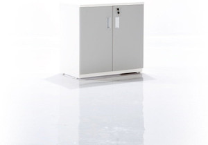 Featherlite E-Storage 750 Engineered Wood Free Standing Cabinet Price ...