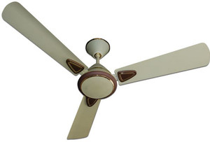 Toofan Titan 900mm with 1 Year Warranty 900 mm Ceiling Fan Price in ...