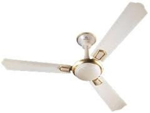 Rally Xylo Dlx with 2 Year Warranty Ceiling Fan Price in India - Buy ...