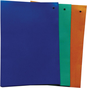 Flipkart.com | BoardRite Premium Paper Board Tag File - Tag File