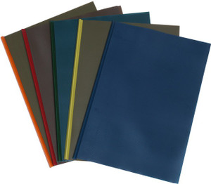 Flipkart.com | Neo Gold Leaf 765D PP Stick File Thick Broad Patti A4 ...