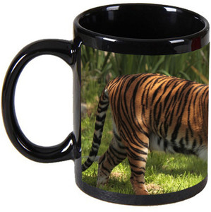 Muggies Magic tigers Design E 437 Ceramic Coffee Mug Price in India ...