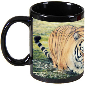 Muggies Magic tigers Design E 440 Ceramic Coffee Mug Price in India ...
