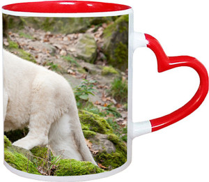 Muggies Magic tigers Design No 441 Ceramic Coffee Mug Price in India ...