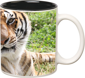 Muggies Magic tigers Designer 912 Ceramic Coffee Mug Price in India ...