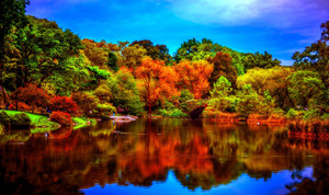 AMAZING NATURE POSTER Paper Print - Nature posters in India - Buy art ...