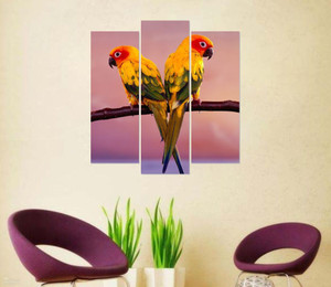 Impression Wall 61 cm Impression Wall Parrot Wall Sticker Self Adhesive ...