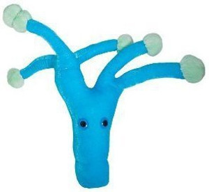 GIANT Microbes Penicillin Penicillium Chrysogenum Gigantic Doll - 2.5 ...