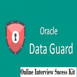 SAPSMART ORACLE DATA GUARD Online Interview video learning success kit ...
