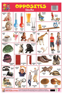 NON TERRIBLE OF PLASTIC CHART OF OPPOSITE: Buy NON TERRIBLE OF PLASTIC ...