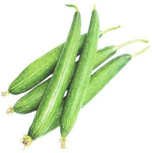 SENECIO™ Sponge Gourd, Turai, Galka Seed Price in India - Buy SENECIO ...