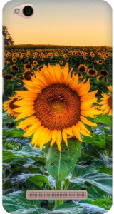 Exclusif Back Cover for Mi Redmi 4A - Exclusif : Flipkart.com