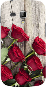 Stylephone Back Cover for Samsung Galaxy S Duos 2 - Stylephone ...