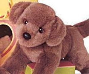 Douglas Cuddle Toys Cocoa Chocolate Lab - Cocoa Chocolate Lab . Buy ...