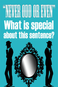Poster-1-LR-Palindrome Poster Paper Print - Decorative posters in India ...