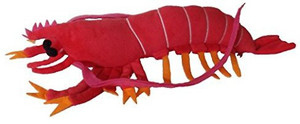 Adore Plush Company Shawn the Prawn Shrimp Plush Stuffed Animal Toy - 3 ...