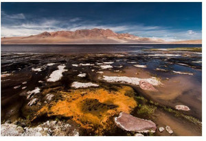 Chile Paper Print - Abstract posters in India - Buy art, film, design ...