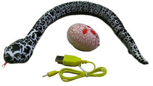 Shrih Kids remote Control Snake - Kids remote Control Snake . Buy Snake ...