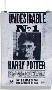 Harry Potter - Undesirable number 1 Wall Poster Photographic Paper ...