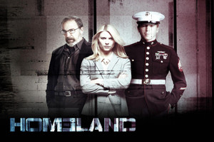 Homeland Poster (Size 12 Inch x 18 Inch) (Pack of 1) Paper Print - TV ...