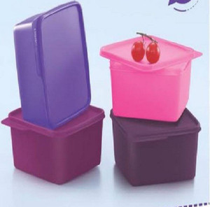 TUPPERWARE Polypropylene Fridge Container - 500 ml Price in India - Buy ...