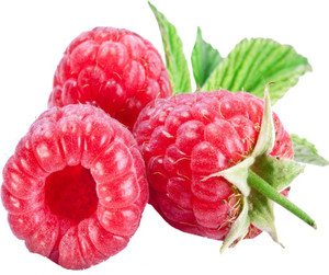 Nema Red Raspberry Seed Price in India - Buy Nema Red Raspberry Seed ...