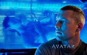 Wall Poster a/wallpaper-movie-avatar-actor Paper Print - Movies posters ...