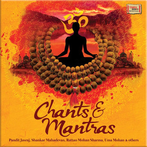 CHANTS & MANTRAS Vinyl Standard Edition Price in India - Buy CHANTS ...