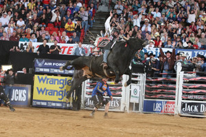 Sports Bullriding Rank Wall Poster Paper Print - Sports posters in ...