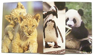 Staples Two Pocket Paper Folder ~ Set Of 3 Animals From Around The ...