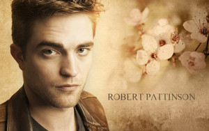 Robert Pattinson Hollywood Star Vinyl Poster Paper Print ...