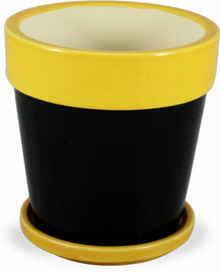 Yellow Table Black & Yellow Band Ceramic Pot With Yellow Tray Plant ...