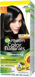 GARNIER Naturals , 1 Natural Black - Price in India, Buy GARNIER ...