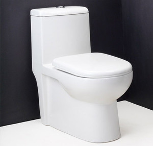 Hindware Italian Collection One Piece Closet INOX 92089(P-18) Western ...