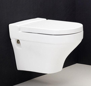 Hindware Italian Collection Wall Mounted closets Cornice 92054(P-22 ...