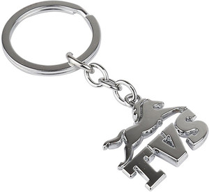 GCT TVS Logo Silver Metal Keyring for Men Women Boys Girls Key Chain ...
